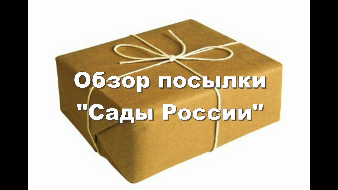Обзор посылки Сады России