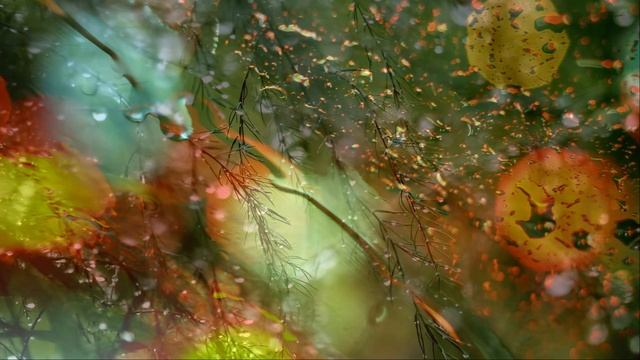 Toto - Chase the Rain.mp4