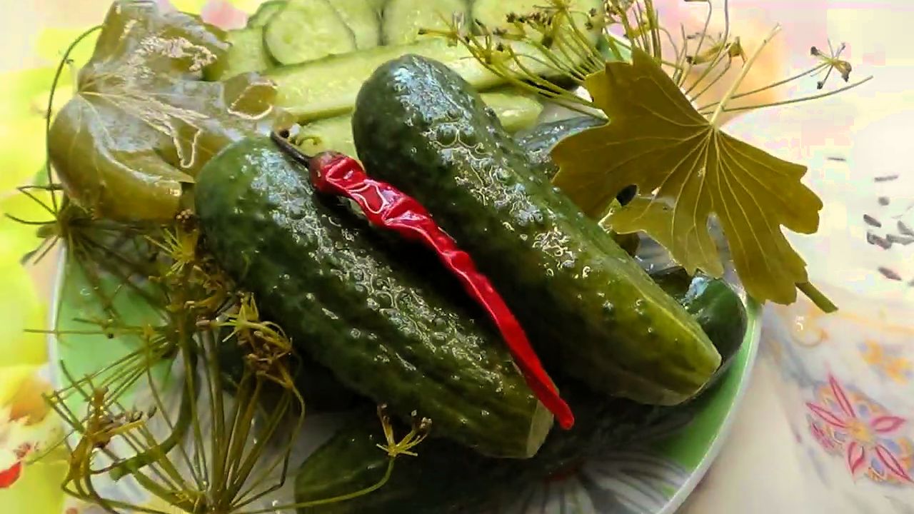Как быстро замалосолить огурцы. Малосольные огурцы суточные без уксуса со специями и горьким перцем