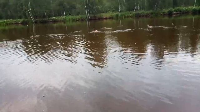 айка купается.mp4