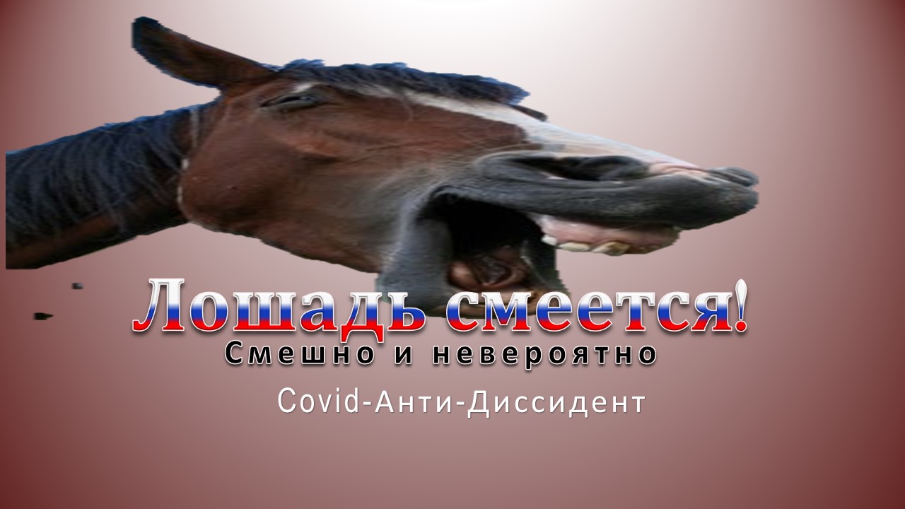 Covid-Анти-Диссидент