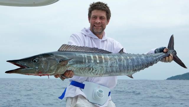 Сейшелы 2014. Огромные рыбы