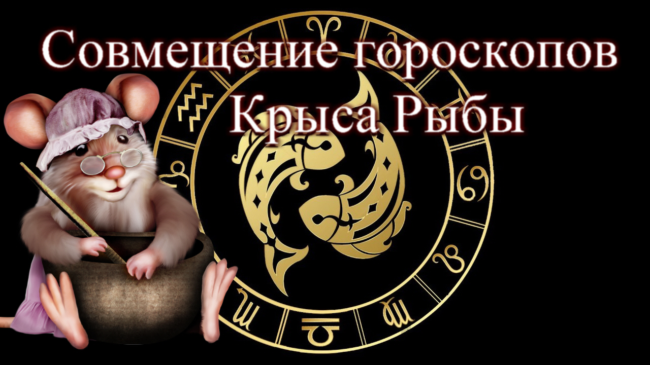 Совмещение гороскопов. Крыса рыбы