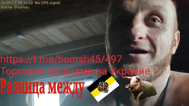 Чем русские отличаются от свиней.