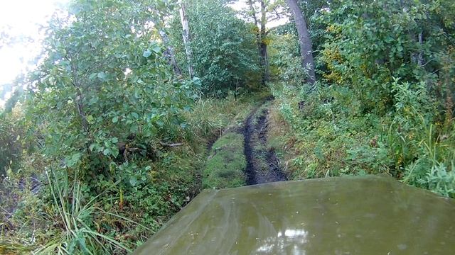 Дорога домой