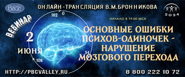 Основные ошибки психов-одиночек - нарушение мозгового перехода Бронников В.М. Вебинар 2.06.2024