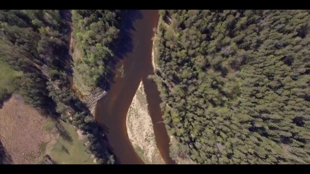 За туманом, поёт Алексей Ярошевич.