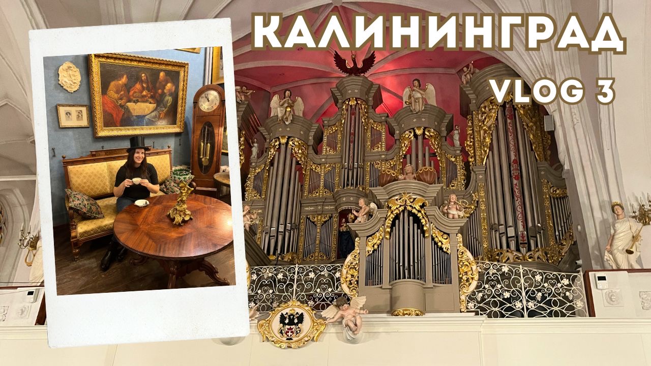 ГАЛЕРЕЯ ДОМ С ГОРГУЛЬЕЙ | ОРГАННЫЙ КОНЦЕРТ | ПОЗНАКОМИЛАСЬ С ТУРИСТОМ ИЗ ПАНАМЫ | КАЛИНИНГРАД VLOG 3
