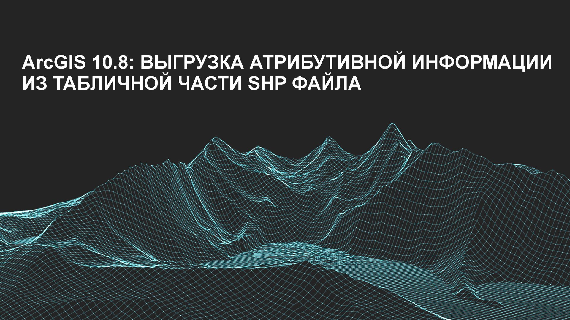 ArcGIS 10.8: выгрузка атрибутивной информации из табличной части shp файла.