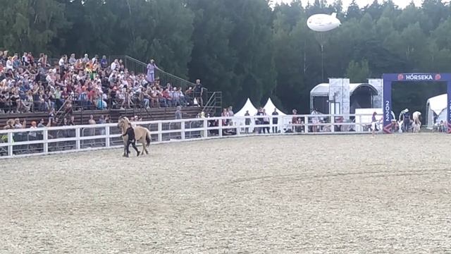 Парад пород - выпуск 2