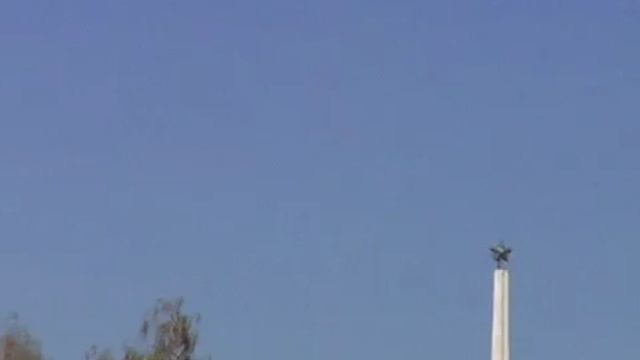 Свадебный ролик - реалтайм на свадьбе