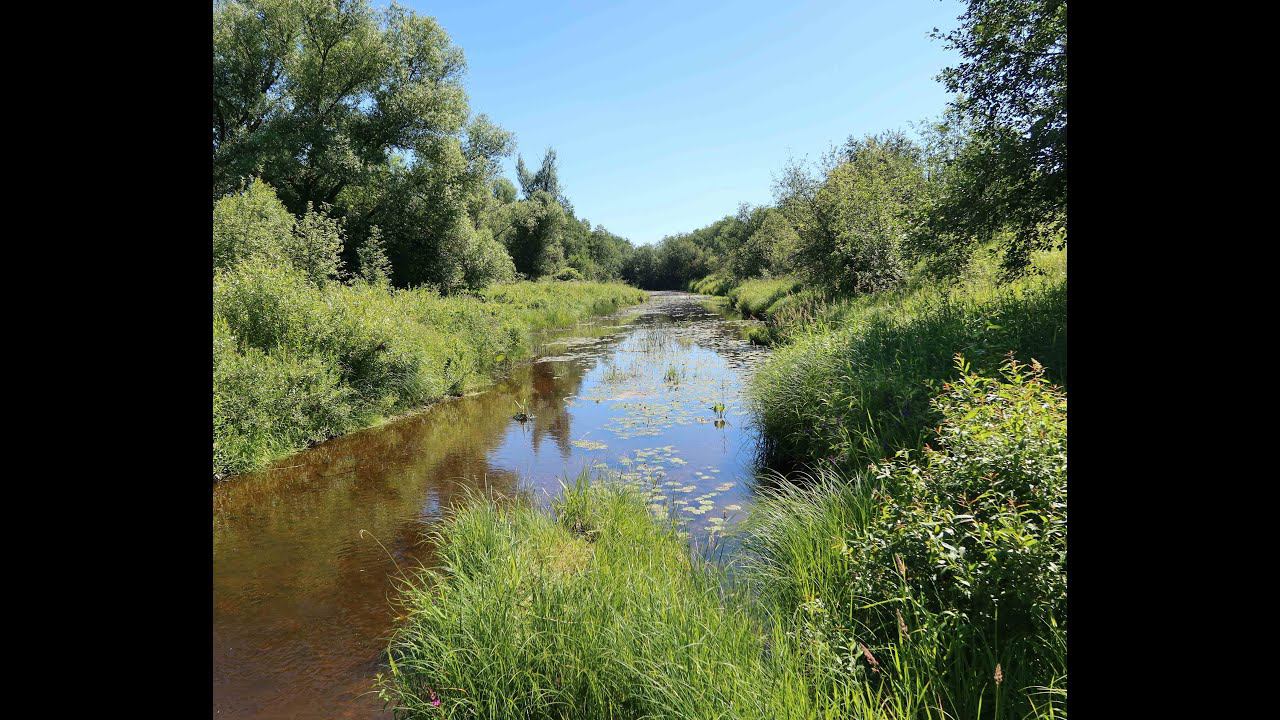 Верховья реки Медведица в Тверской обл.