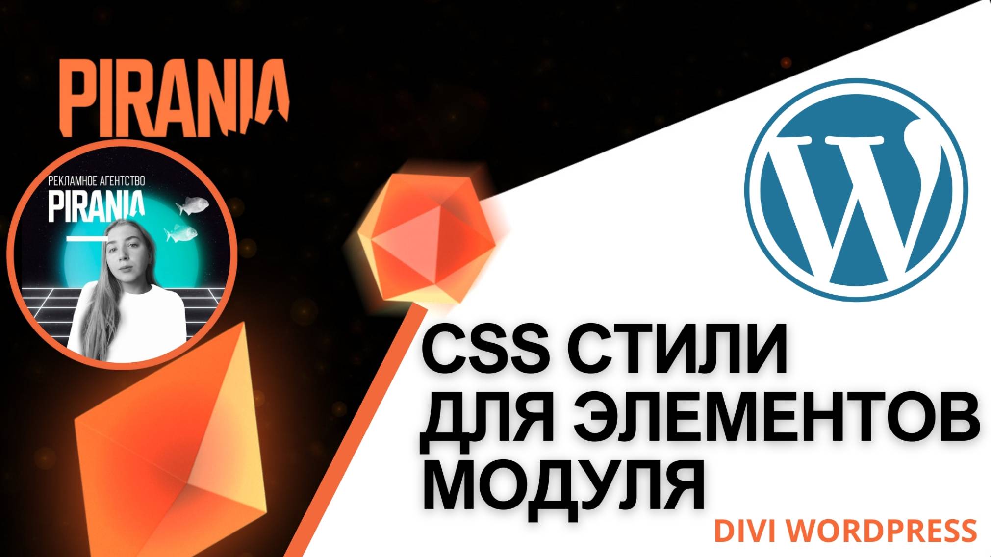 CSS стили для элементов модуля в Divi WordPress