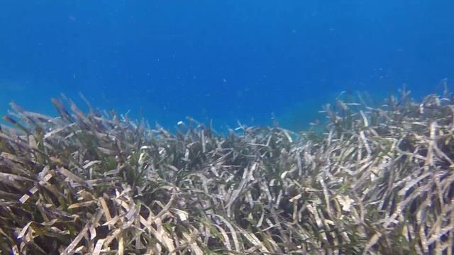 Санторини август 2015 год.mp4