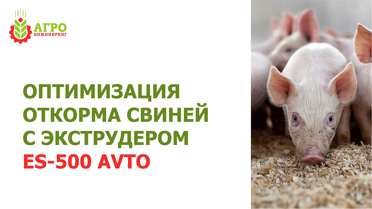 Работа экструдера ES-380 Vibro у заказчика из Алтайского края.mp4