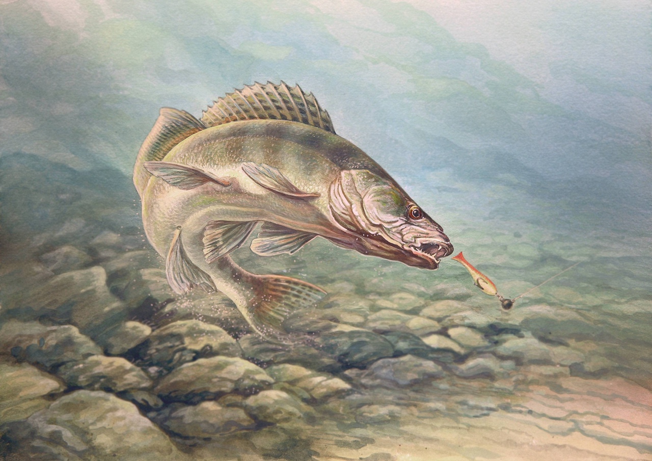 Ударил здорово как ..