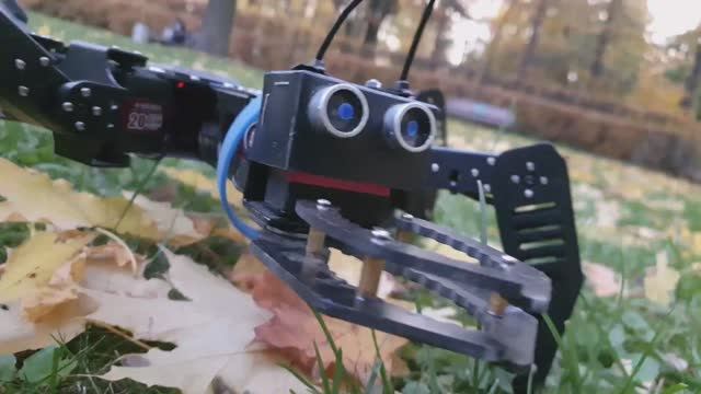RoboAnt