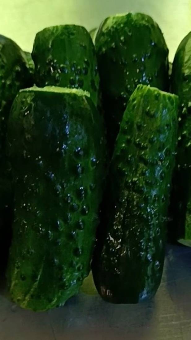 Хрустящие, малосольные ОГУРЦЫ! Взрыв вкуса #рецепт #еда #shorts #short #огурцы #малосольныеогурцы