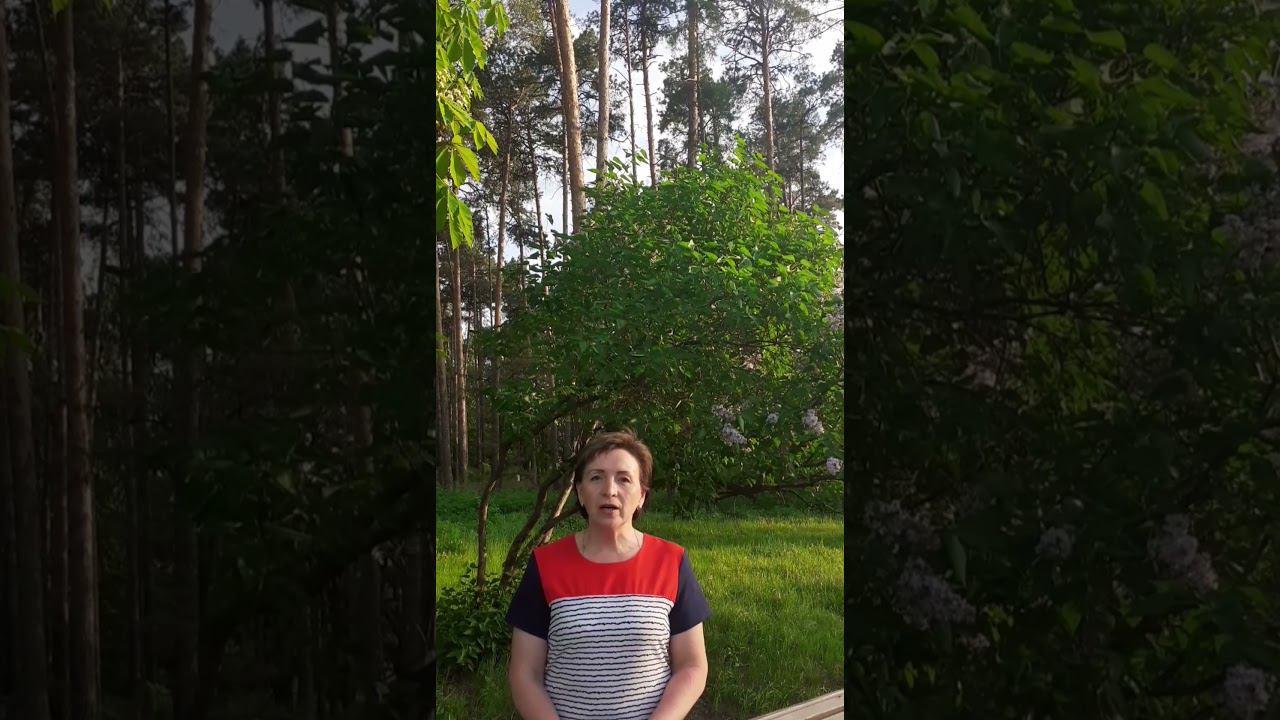 Напутственные слова родителей 9Б