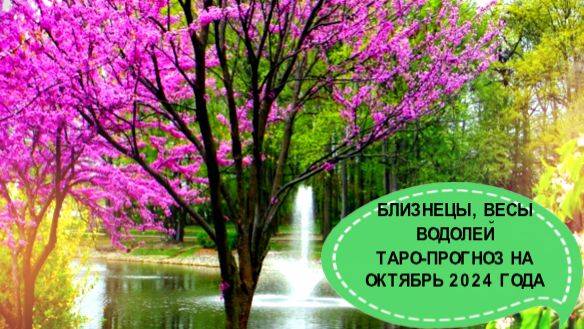 БЛИЗНЕЦЫ, ВЕСЫ, ВОДОЛЕЙ ОБЩИЙ ТАРО-ПРОГНОЗ НА ОКТЯБРЬ 2024 ГОДА