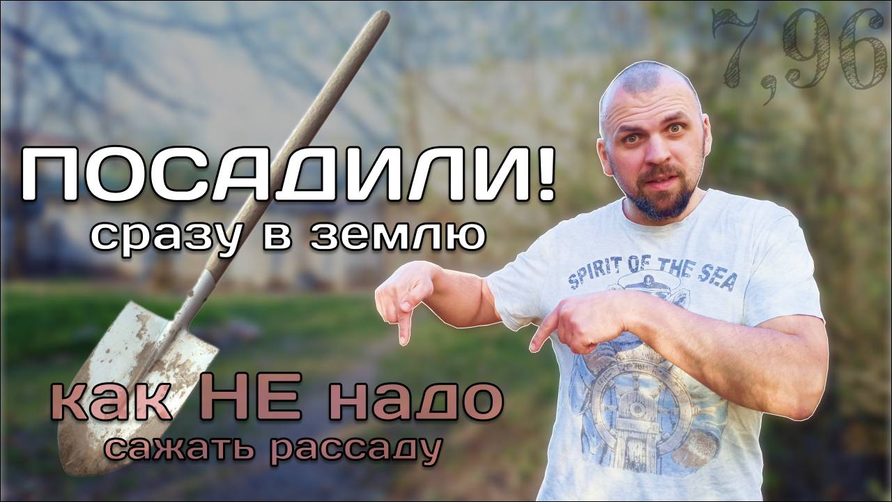 Первые Посадки / Сажаем Рассаду в Грунт / Участок с нуля