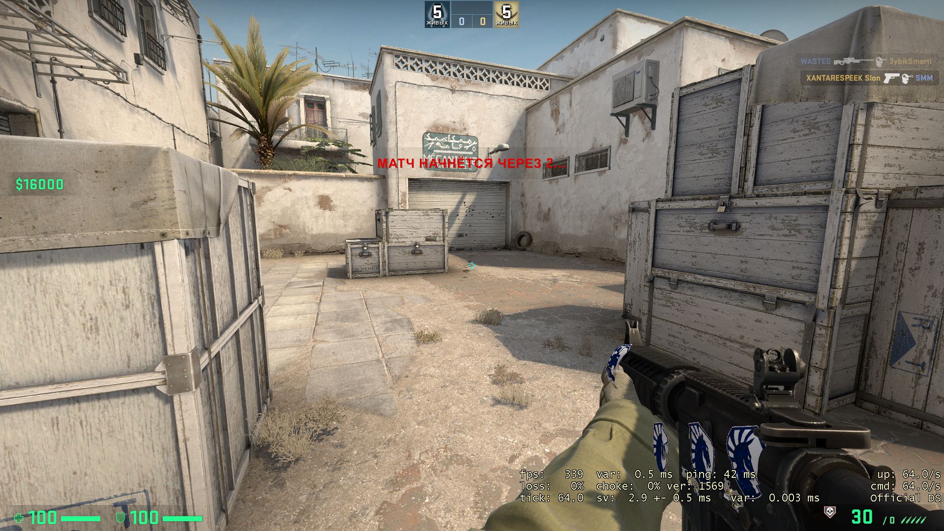 ХАЙЛАЙТЫ ИЗ РОЛИКА ? БАГИ / CS2 #shorts