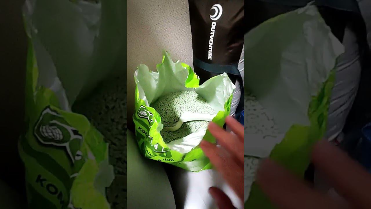 Обзор на Автоматический лоток для кошек PETREE 2 WIFI