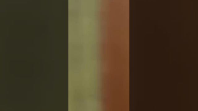 Видео с телефона ликвидированного азовца..