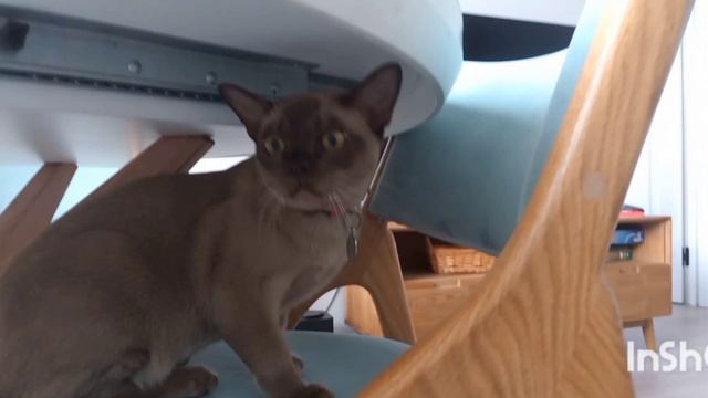 Кусоволомка2 часть