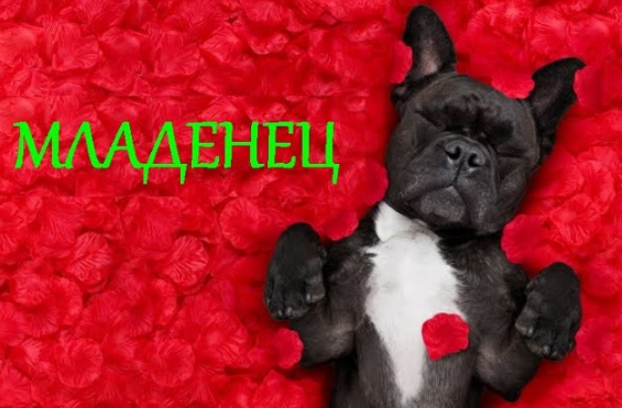 КОЛЫБЕЛЬНАЯ. МЛАДЕНЕЦ.