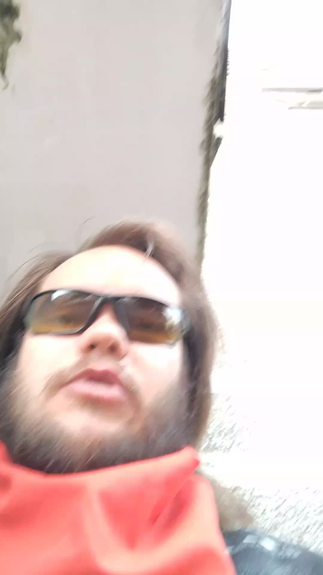 Прогулки с собаками, 12-сен-2024, 2