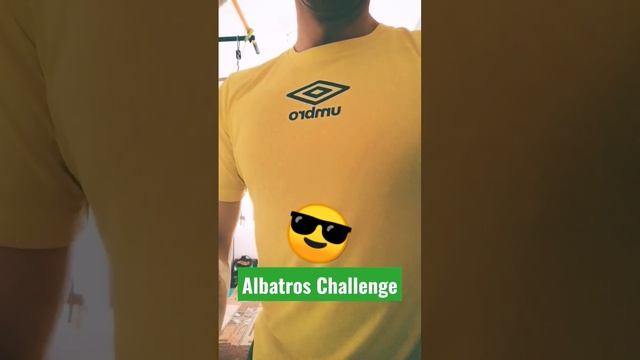 ? Albatros Challenge