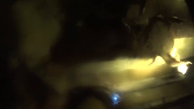 Глазами начкара #14_Спасение котейки.