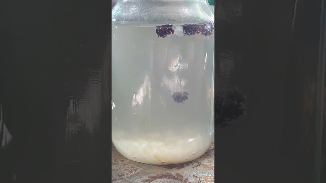 Напиток в жару