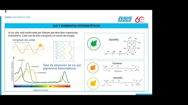 San Marcos Anual 2021 | Semana 06 Biología