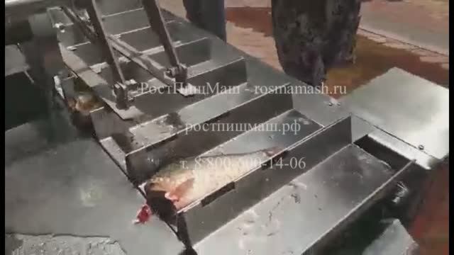 Обзор отрезание головы или хвоста у рыб на Машине FC-1 от РостПищМаш