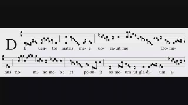 Responsorium De ventre matris meae