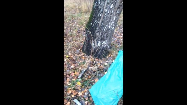 Уборка лесополосы на Крутом Орехово-Зуево # 228.mp4