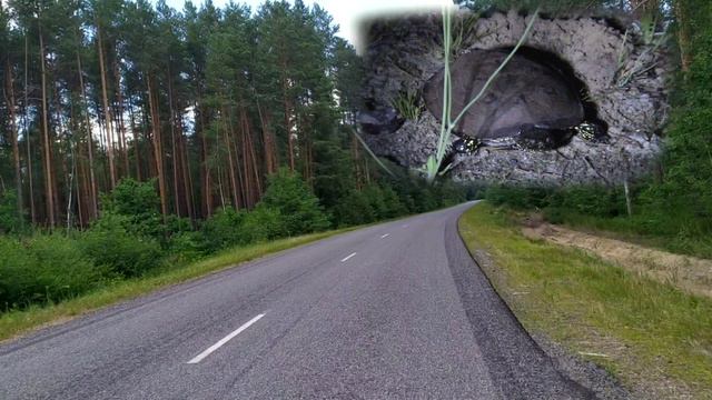 Болотная черепаха 2 У начала времён