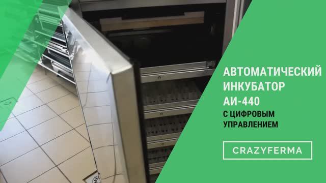 🐣ИНКУБАТОР АИ-440 с цифровым управлением видео-обзор