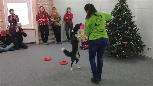 Рождественская Ёлка 2019 .mp4