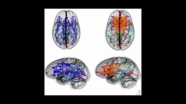 7.17 Эволюция. Мужчина и женщина