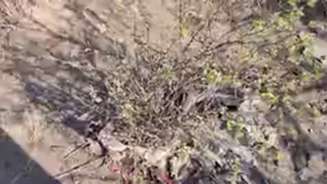 Орск 2024г. Дача после  потопа.  Спасаем,  что  можно.