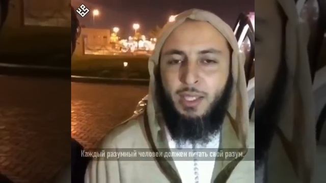 Шейх Саид аль-Камали: Ограничиваться только особой исламской литературой?