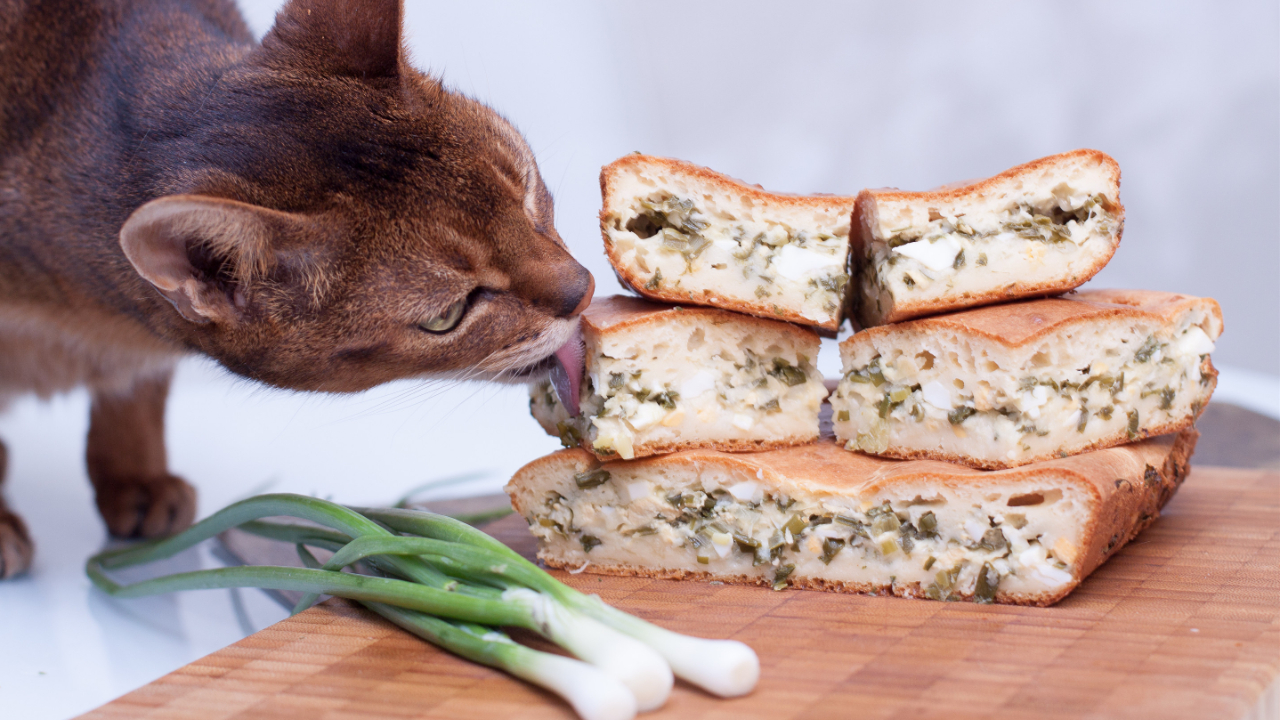 Ленивый пирог с зеленым луком и яйцом