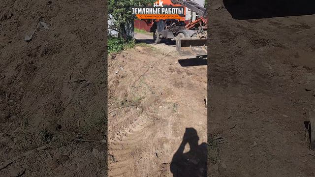 Почему не стоит экономить на вывозе мусора #вск #shorts