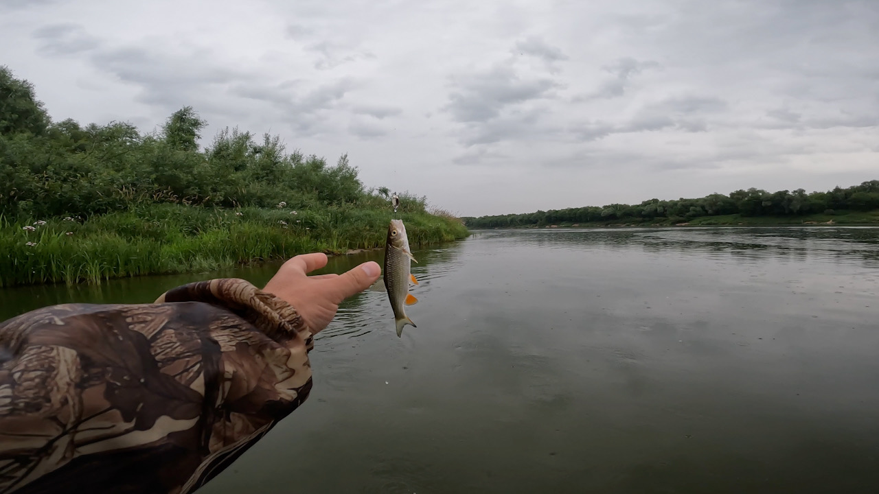 Ловля на Резину и Колебалки. Река ОКА! Рыбалка 2023. Ультралайт.