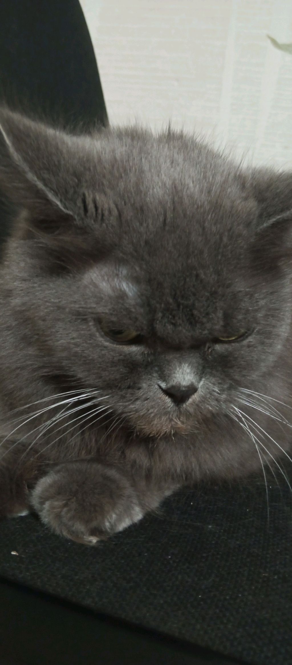 слежу за дымкой