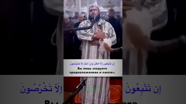 Кот неожиданно запрыгнул на Имама во время намаза (Таравих 2023)
