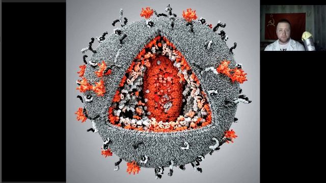 Введение в вирусологию. Часть 4. Гепатит Е, ВИЧ, бешенство, Эбола.mp4